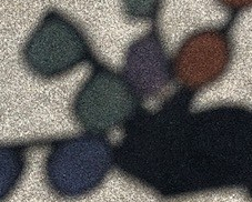 Product Review: New Transitions “Style” products | THE OPTICAL JEDI: A ...